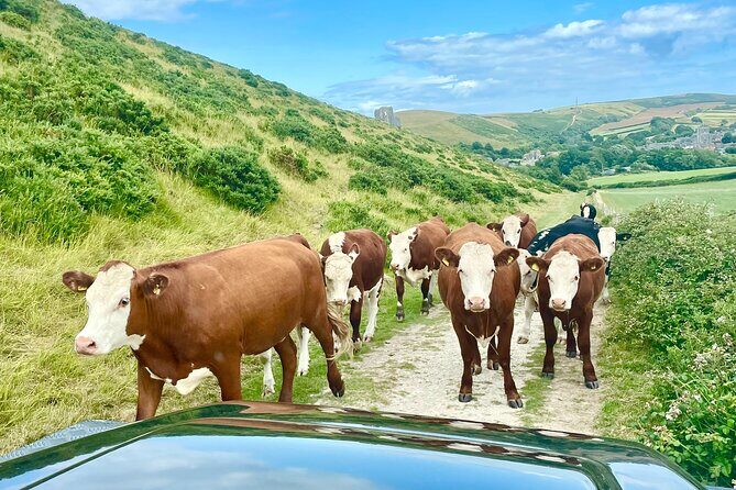 PURBECK HILLS & JURASSIC COAST - PRIVATE - 4x4 LAND ROVER SAFARI - An Authentic Journey Through Dorset’s Landmark Landscapes