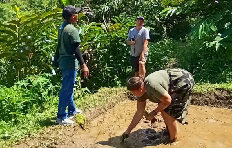 Pure Bali Village Experience Cooking & Jamu Class, Transfer - A Closer Look at the Itinerary and Experience