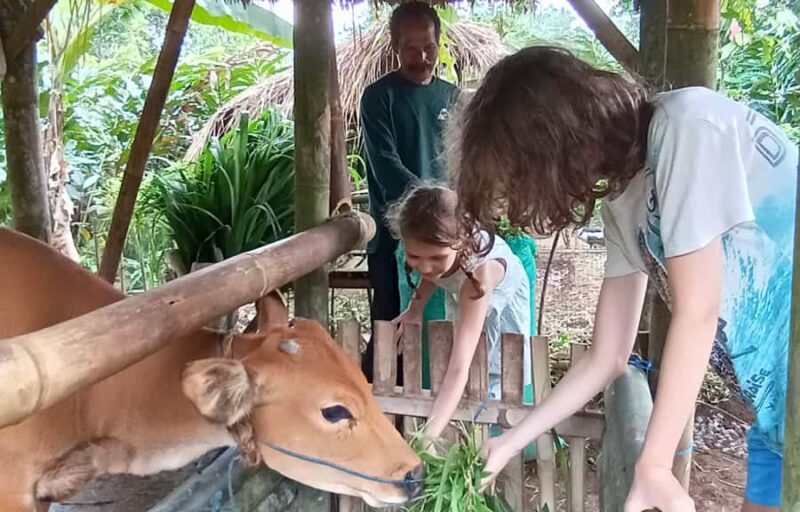 Pure Bali Village Experience Cooking & Jamu Class, Transfer - FAQ