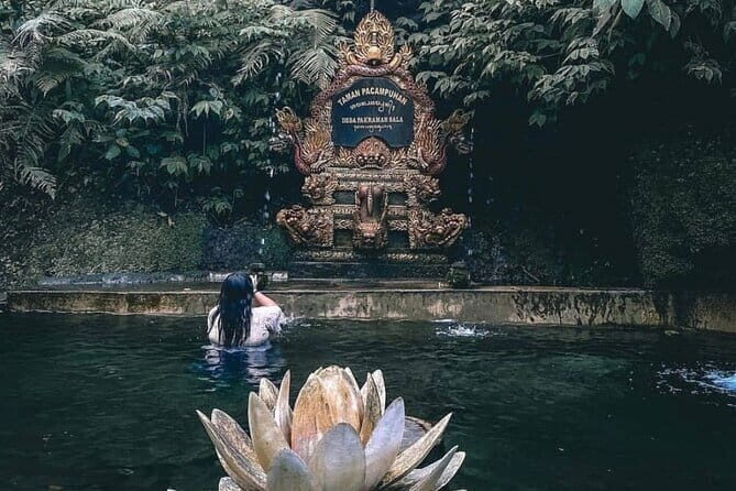 Purification Ceremony, Kehen Temple and Goa Raja Waterfall Tour - Authenticity and Positive Feedback