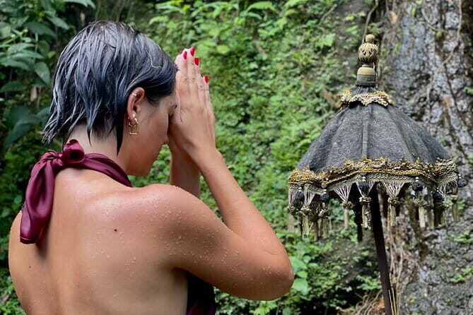 Purification Ceremony, Kehen Temple and Goa Raja Waterfall Tour - Transportation and Timing