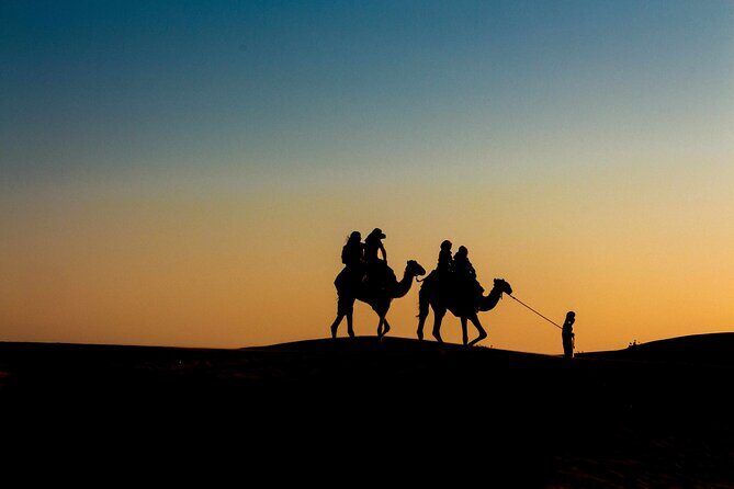 Pushkar Camel Safari Adventure - The Itinerary Explained: What to Expect