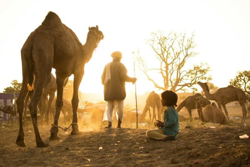 Pushkar: Camel Sunset Safari Adventure - How It Compares to Other Experiences