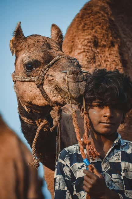 Pushkar: Camel Sunset Safari Adventure - FAQ