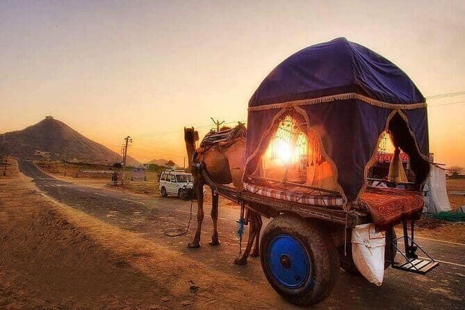 Pushkar Cultural Day Trip from Jaipur - Key Points