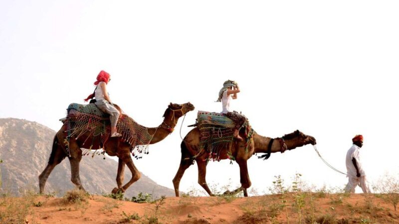Pushkar Day Trip with Camel Safari From Jaipur By Car. - Key Points