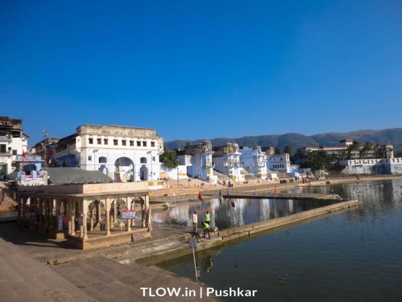Pushkar Day Trip with Camel Safari From Jaipur By Car. - A Detailed Look at the Pushkar Day Trip