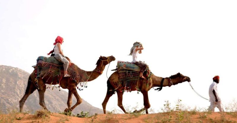 Pushkar Day Trip with Camel Safari From Jaipur By Car. - Authenticity and traveler feedback