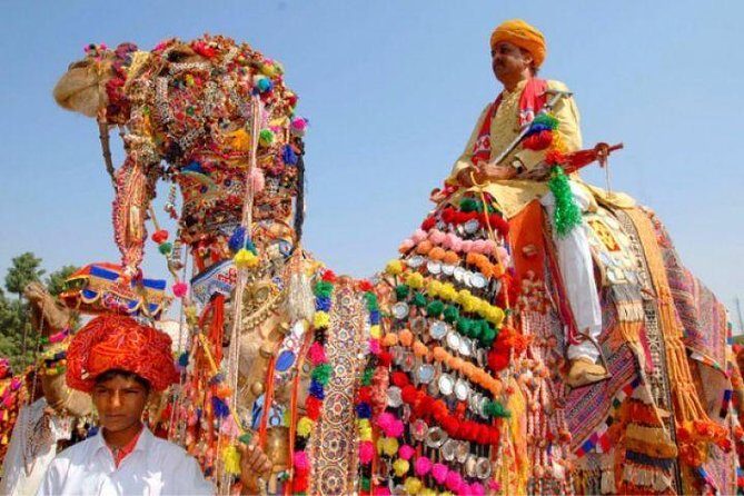 Pushkar Fair Festival - Summary and Who It’s Best For