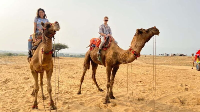 Pushkar Full Day Tour from Jaipur - Exploring Rajasthans Jewel: Pushkar Full Day Tour from Jaipur