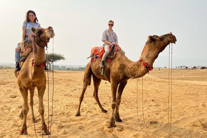 Pushkar Full Day Tour from Jaipur with All Inclusive - A Deep Dive Into the Itinerary