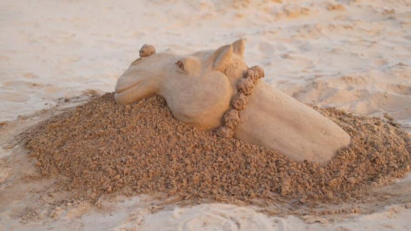 Pushkar: Live Sand Art Experience - Key Points