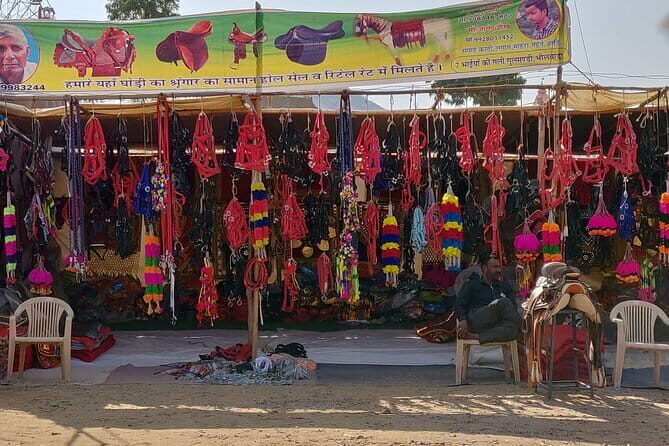 Pushkar Private Day Trip from Jaipur - A Deep Dive into the Pushkar Day Trip