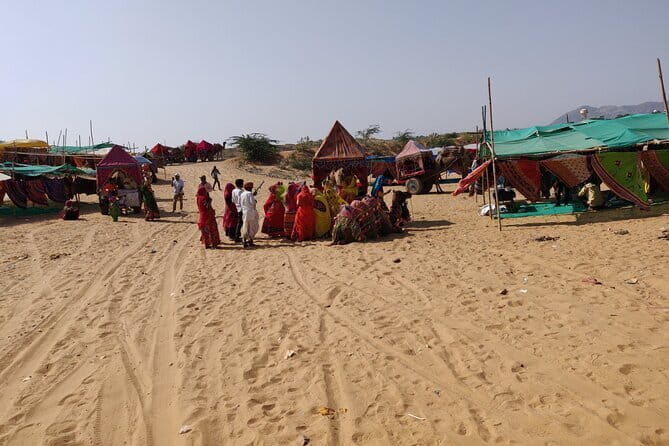 Pushkar Private Day Trip from Jaipur - Who Should Take This Tour?