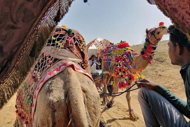 Pushkar Private Day Trip from Jaipur - Final Thoughts