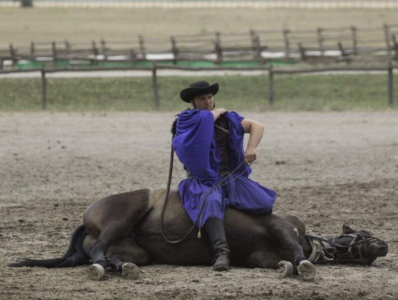 Puszta Tour and Horse Show - The Sum Up