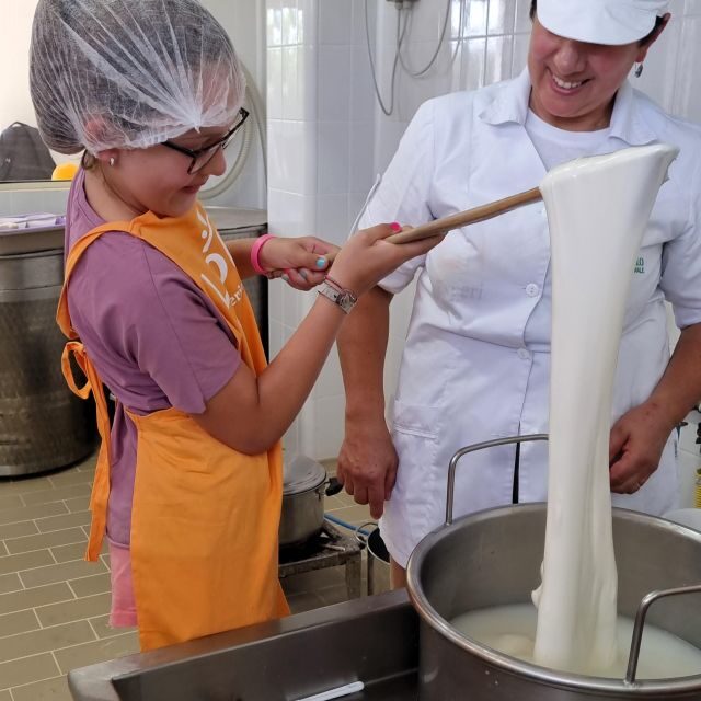 Putignano: Make and taste still warm mozzarella - The Farm and Cow Care: More Than Just Milk