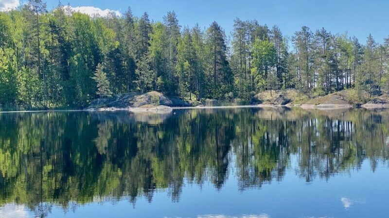 Puumala: Lake Saimaa Seal Watching Cruise - Key Points