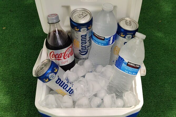 PVR VIP Transfers from Airport to Nuevo Vallarta to Airport - Authentic Experiences and Traveler Feedback