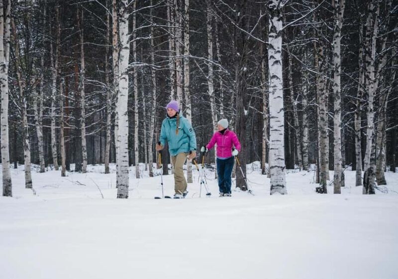 Pyhä: Skiing Tour in Arctic Forest - The Value of This Arctic Ski Tour