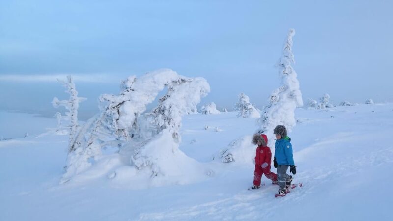 Pyhätunturi: Scenic Snowshoeing Tour in Finnish Lapland - FAQ