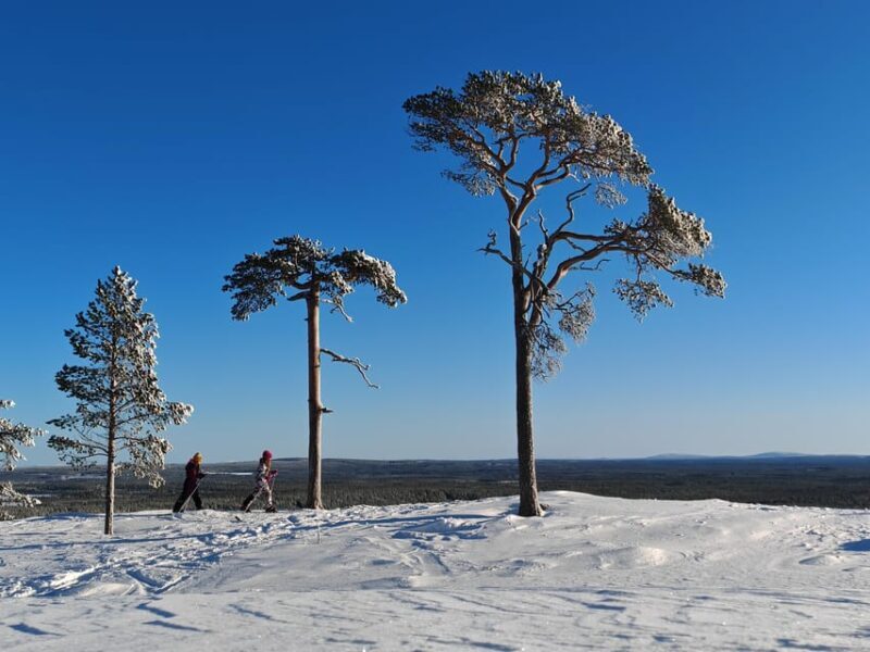 Pyhätunturi: Try Wilderness Skiing in Finnish Lapland - The Value of the Experience