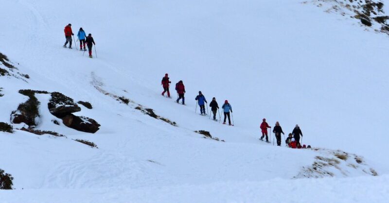 Pyrenees: A-day Hike with a Choice of 3 Levels - FAQ
