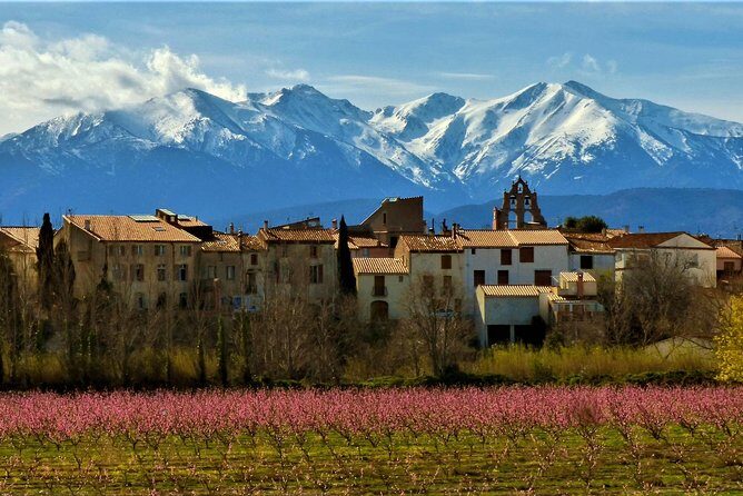 Pyrenees Private Tour from Barcelona with Easy Hike & Cogwheel Train - Key Points