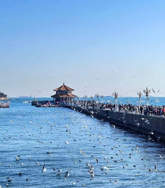 Qingdao Charm: History, Crafts, Offshore View & Night Market - Key Points