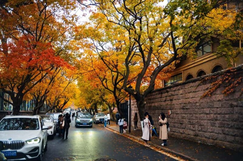 Qingdao: City Highlights and Tsingtao Beer Museum - Tasting and Shopping at the Beer Museum