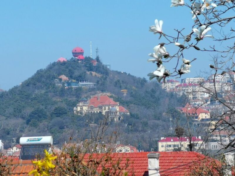 Qingdao: City Highlights and Tsingtao Beer Museum - Key Points