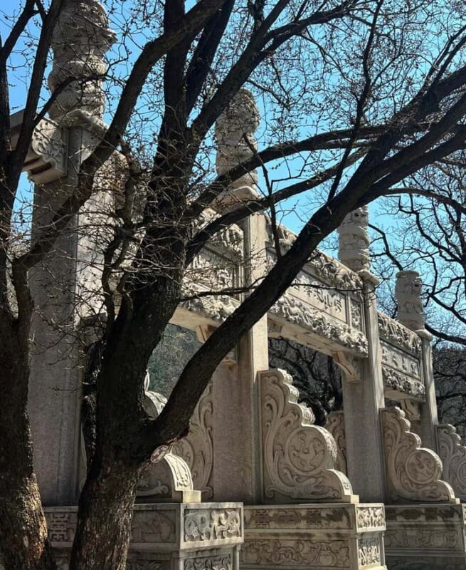 Qingdao Laoshan Coastal Adventure: Mountains, Temples & Tea - The Sum Up