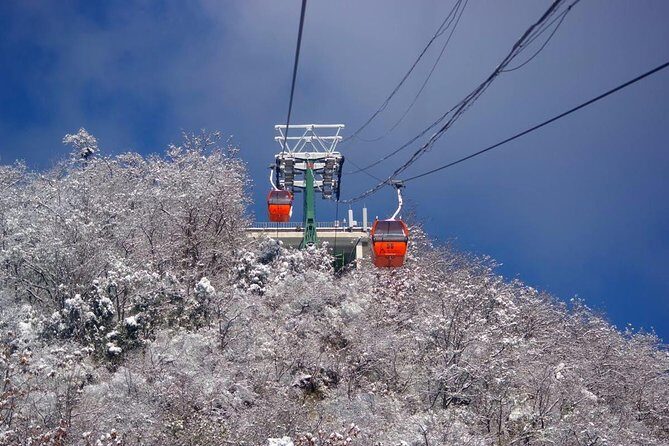 Qingdao Private Day Trip to Mutianyu Great Wall with Cable Car or Toboggan Ride - The Sum Up