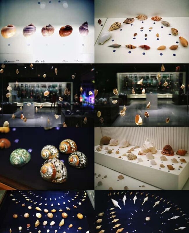 Qingdao West Coast Art, Culture & Coastal Adventure Day Tour - Frequently Asked Questions