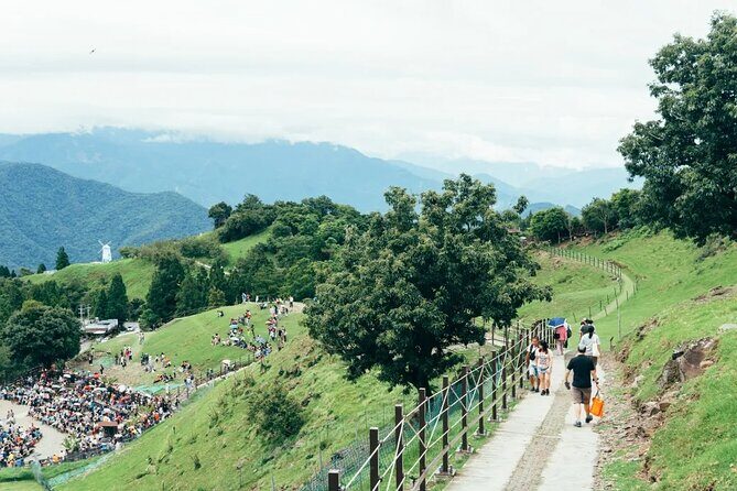 Qingjing Farm & Gaomei Wetlands Day Tour | From Taichung - An Overview of the Experience