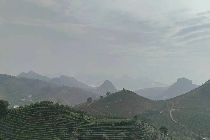 Qixianfeng Tea Plantation Tour in Yangshuo - The Real Value of This Experience