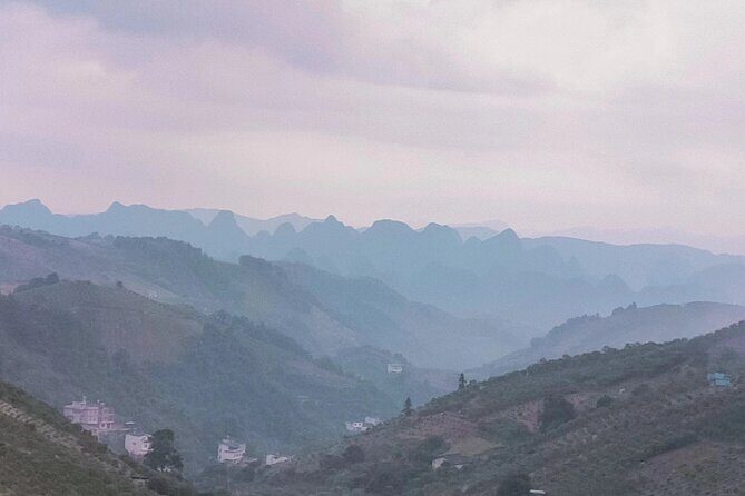 Qixianfeng Tea Plantation Tour in Yangshuo - Final Thoughts