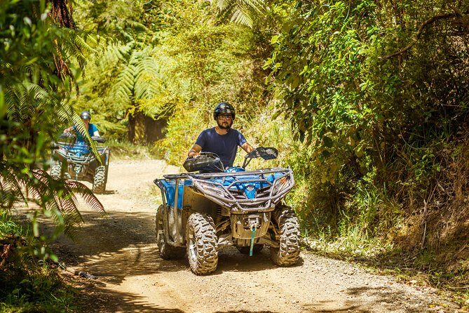 Quad Bike - Bayview Circuit - An Exciting Way to Explore Nelson’s Surroundings