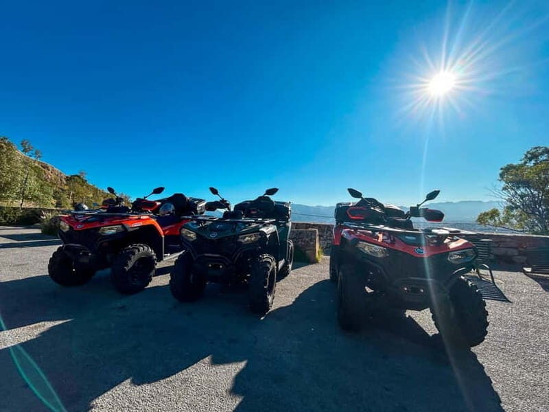 Quad Bike Tours in Palermo Adventure, Panoramas and Sicilian Flavors - Practical Considerations and Value