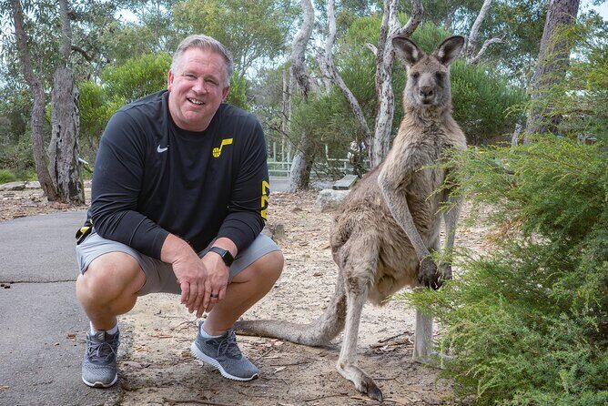 Quad Biking, Koalas and Kangaroos - Private Tour - Final Thoughts