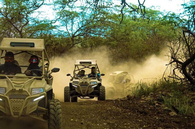 Quad Buggy Excursion Tour - Key Points