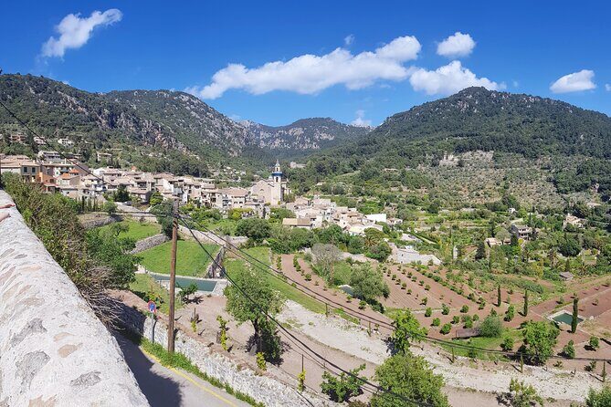 Quad tour from Paguera 3 hours - FAQ