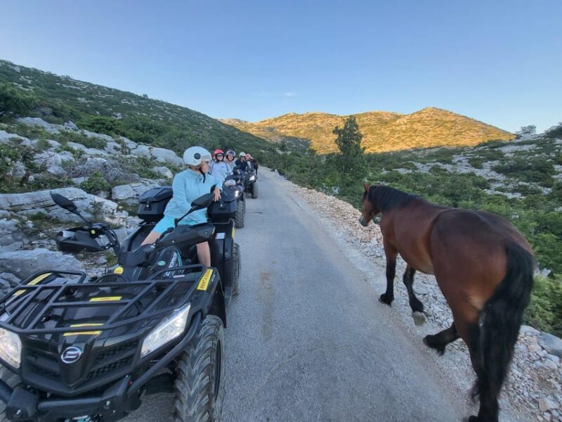 Quad tour to Biokovo Skywalk - Authentic Experiences and Traveler Feedback