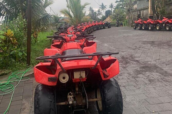 Quadbike Adventure with Tunnel and Waterfall Tour in Bali - FAQs