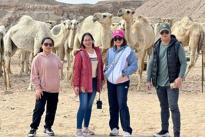 Quadbiking Desert Adventure for Two in Kuwait - Who Will Love This Tour?