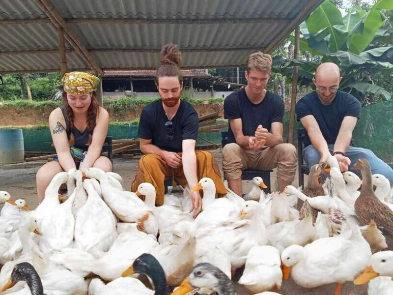Quang Binh: Explore Phong Nha Cave and Experience Rural Life - An In-Depth Look at the Tour Experience