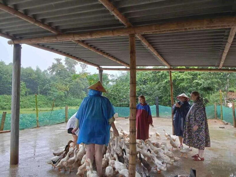 Quang Binh: Explore Phong Nha Cave and Experience Rural Life - Who Should Consider This Tour?