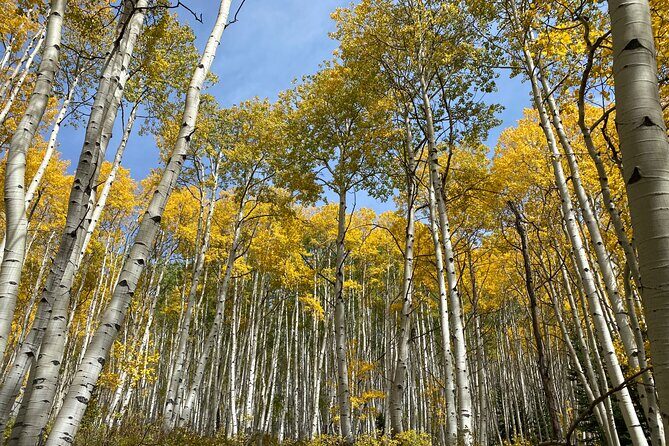 Quantum Healing Hike Hypnosis and Harmony at the Lake - The Sum Up: Is It Worth It?