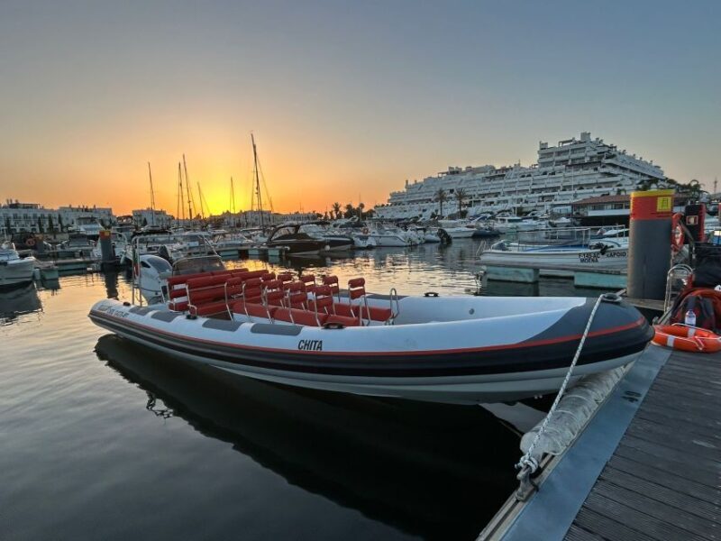 Quarteira: Algarve Coast, Caves and Dolphin Watching Cruise - An In-Depth Look at the Tour Experience