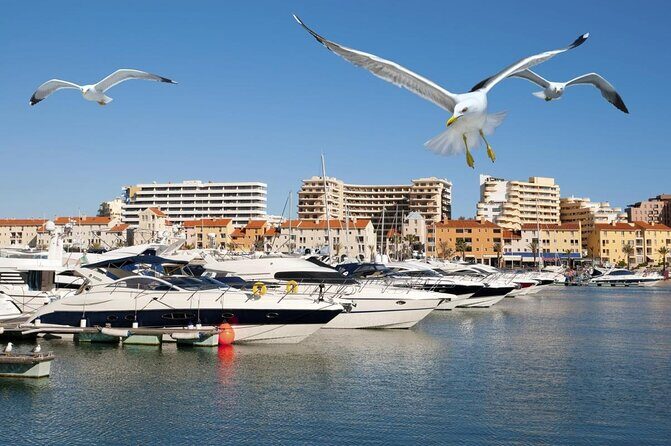 Quarteira Town & Gypsy Market Tour with Beach Bliss - A Closer Look at the Tour Itinerary
